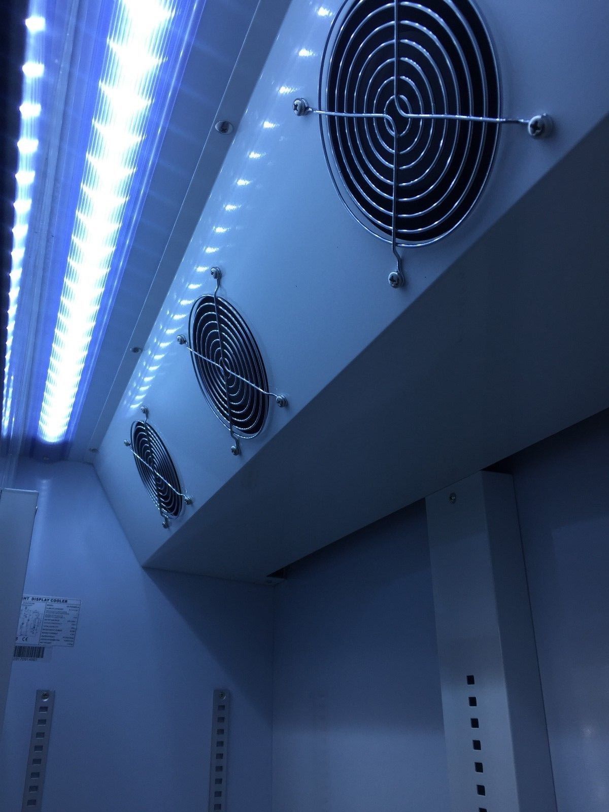 Empire double hinged door display cooler with merchandising canopy - SS ...